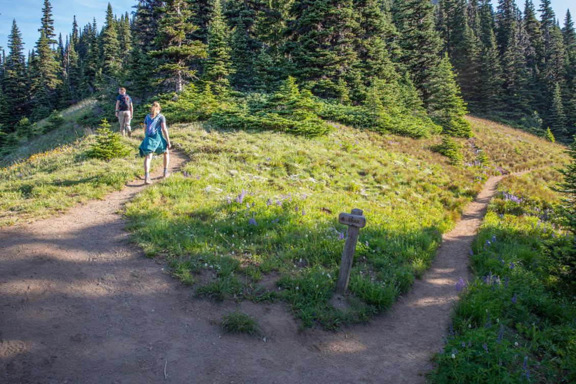 Hiking the Klahhane Ridge Trail to Mount Angeles, Olympic NP – Earth ...