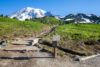 Skyline Trail Loop & Panorama Point, Mount Rainier National Park ...