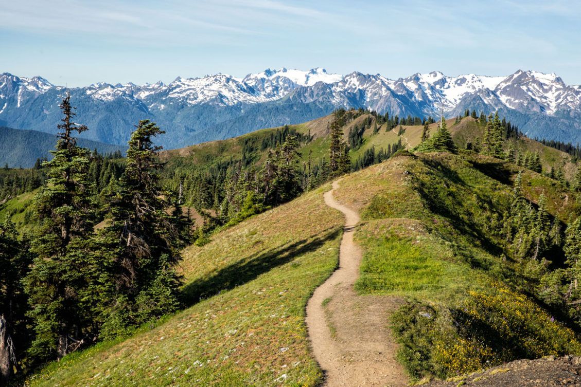 Hiking the Klahhane Ridge Trail to Mount Angeles, Olympic NP – Earth ...