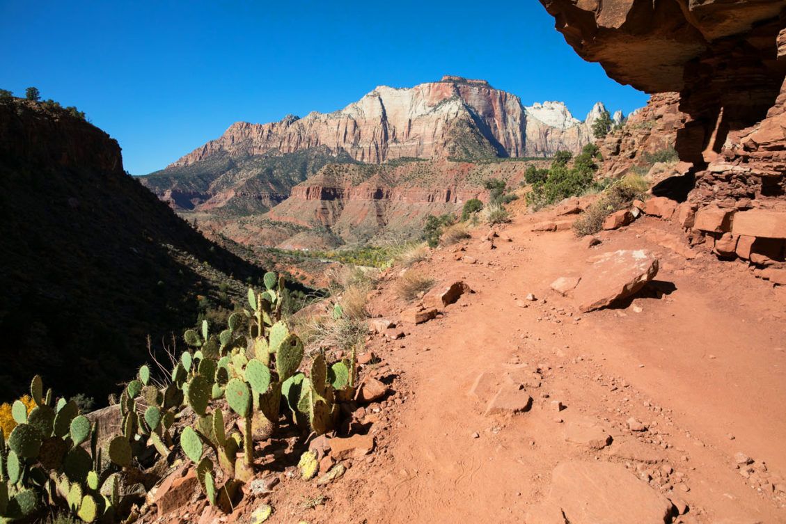 10 Great Hikes in Zion National Park: Which One Will Be Your Favorite ...