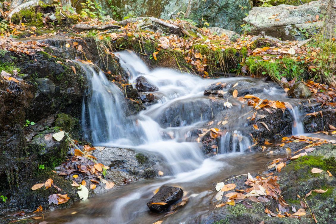 10 Great Hikes in Shenandoah National Park - Earth Trekkers