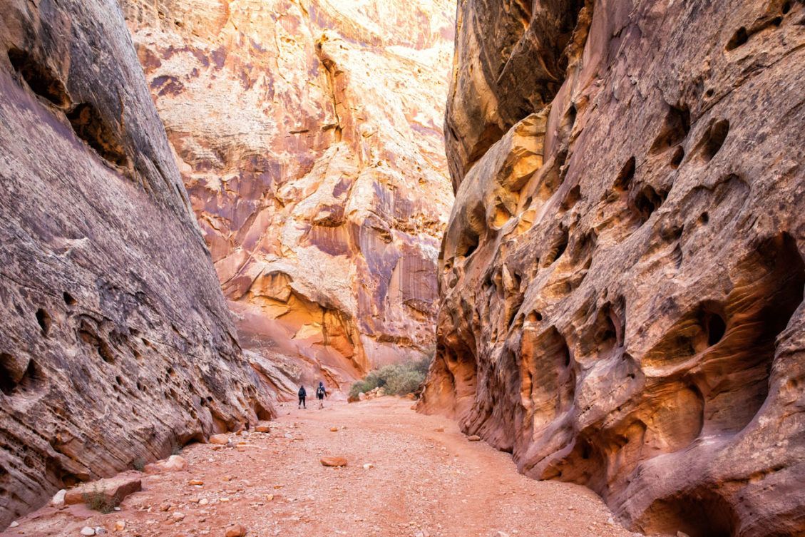Cassidy Arch, An Essential Hike in Capitol Reef National Park – Earth ...