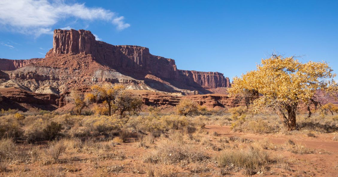 How to Drive the White Rim Road: Map, Photos & Driving Tips – Earth ...