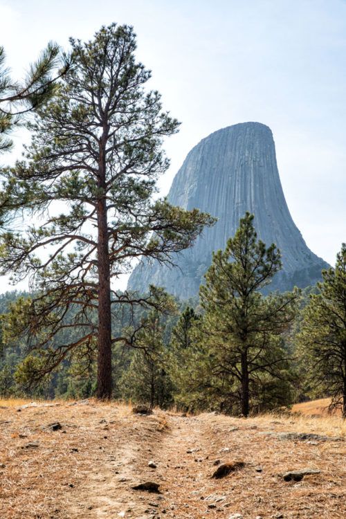 Complete Guide to Devils Tower: How to Plan Your Visit – Earth Trekkers