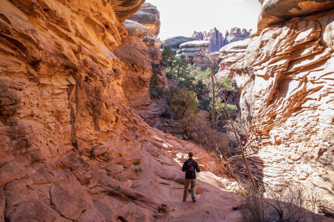 How to Hike the Chesler Park Loop Trail in the Needles | Canyonlands ...