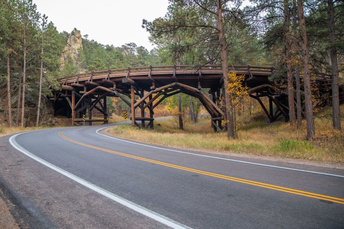 Custer State Park: Best Hikes, Best Scenic Drives & Best Things To Do ...