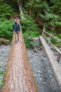 How to Hike the Staircase Rapids Loop in Olympic National Park | Earth ...