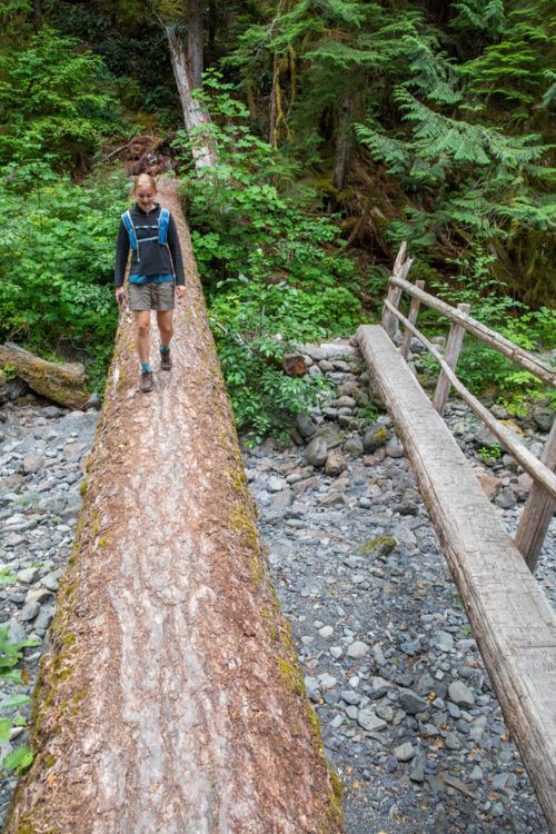 How to Hike the Staircase Rapids Loop in Olympic National Park – Earth ...