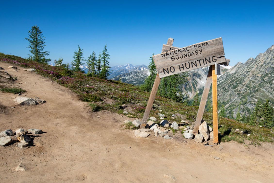 Complete Guide to the Maple Pass Loop | North Cascades National Park ...