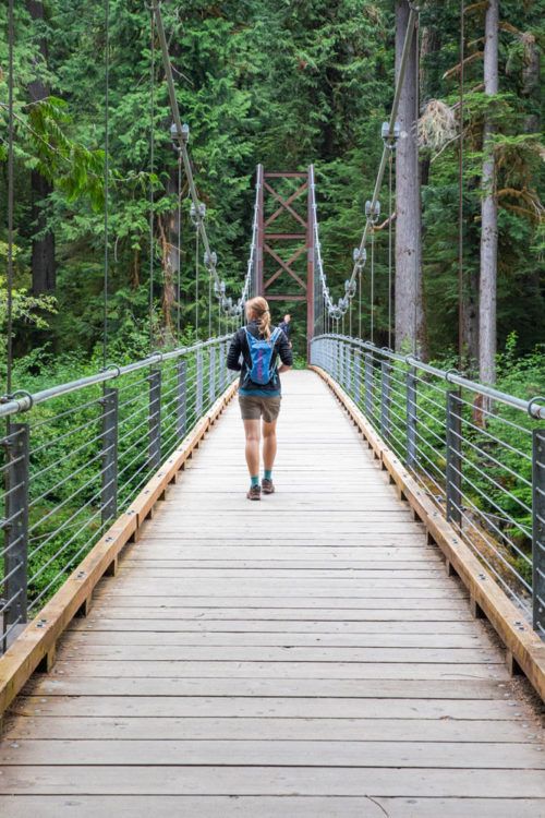 How to Hike the Staircase Rapids Loop in Olympic National Park – Earth ...