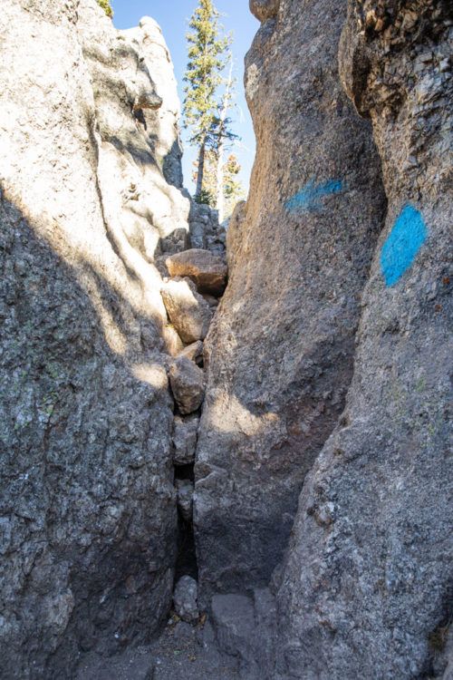 Best Hike in Custer State Park: Little Devils Tower, Cathedral Spires ...