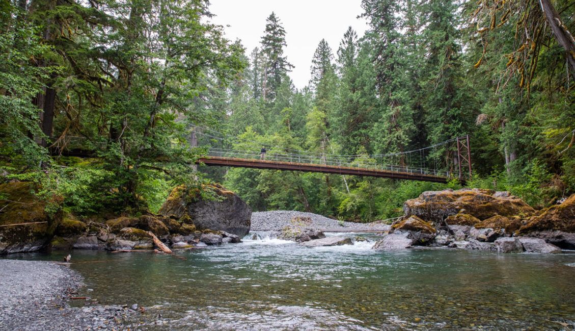 How to Hike the Staircase Rapids Loop in Olympic National Park – Earth ...