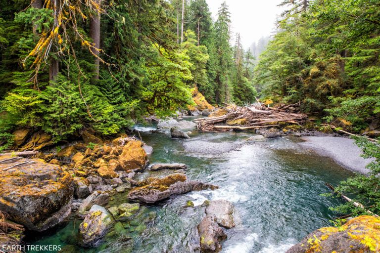 How to Hike the Staircase Rapids Loop in Olympic National Park | Earth ...