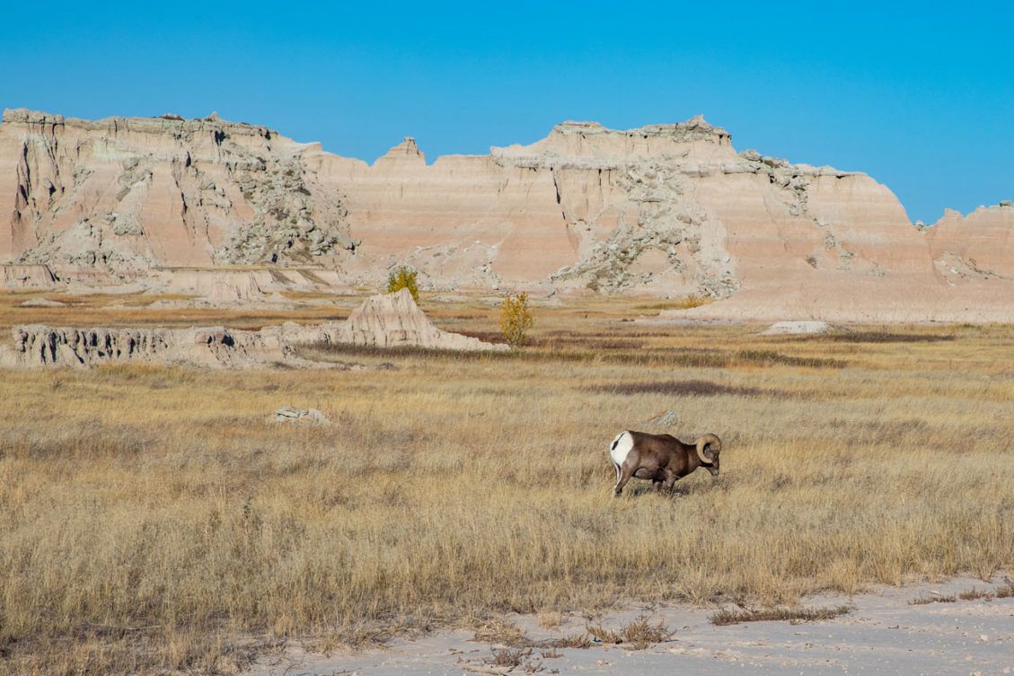 The Castle Trail: One of the Best Hikes in Badlands National Park ...