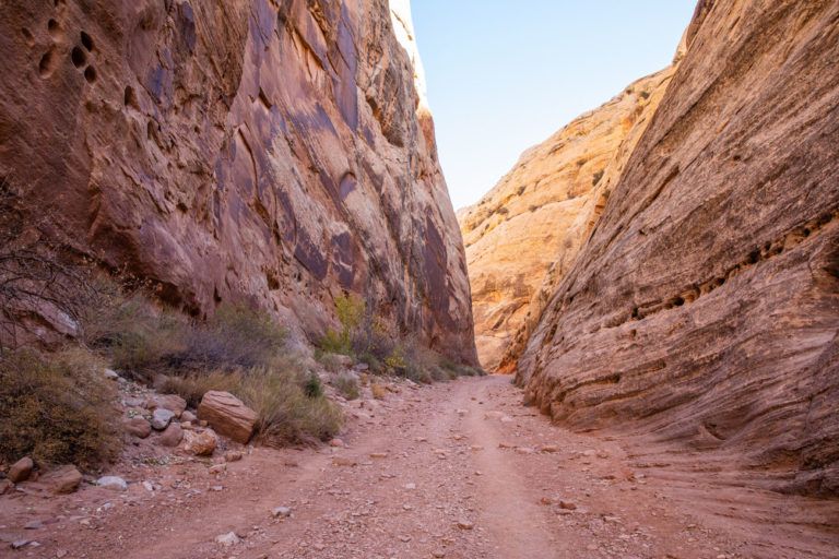 16 Epic Day Hikes in Capitol Reef National Park – Earth Trekkers