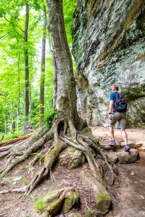 The Ledges Trail, A Must-Do Hike in Cuyahoga Valley National Park ...