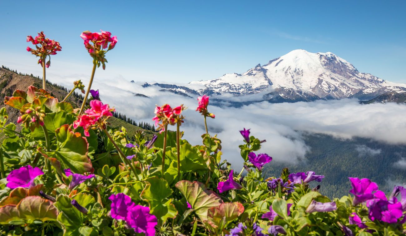 Washington National Parks: Travel Guide & Itinerary – Earth Trekkers