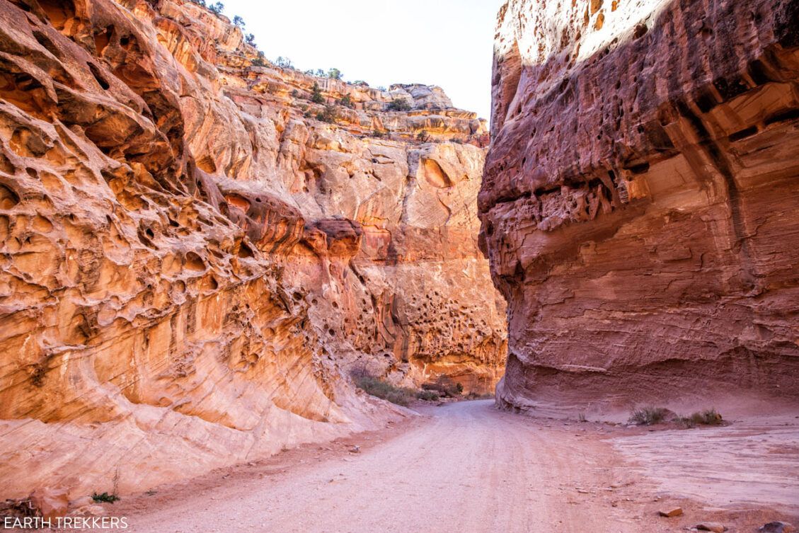 The Ultimate Capitol Reef National Park Itinerary – Earth Trekkers