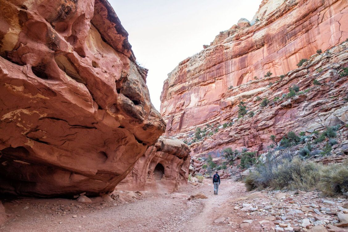 The Ultimate Capitol Reef National Park Itinerary – Earth Trekkers