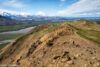 5 Reasons Why You Should Visit Eielson Visitor Center on Denali Park ...