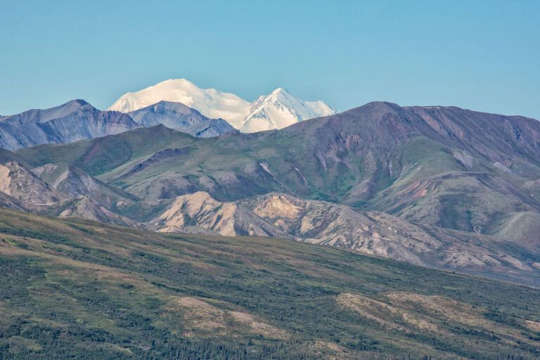 How to Hike the Mount Healy Overlook Trail | Denali National Park ...