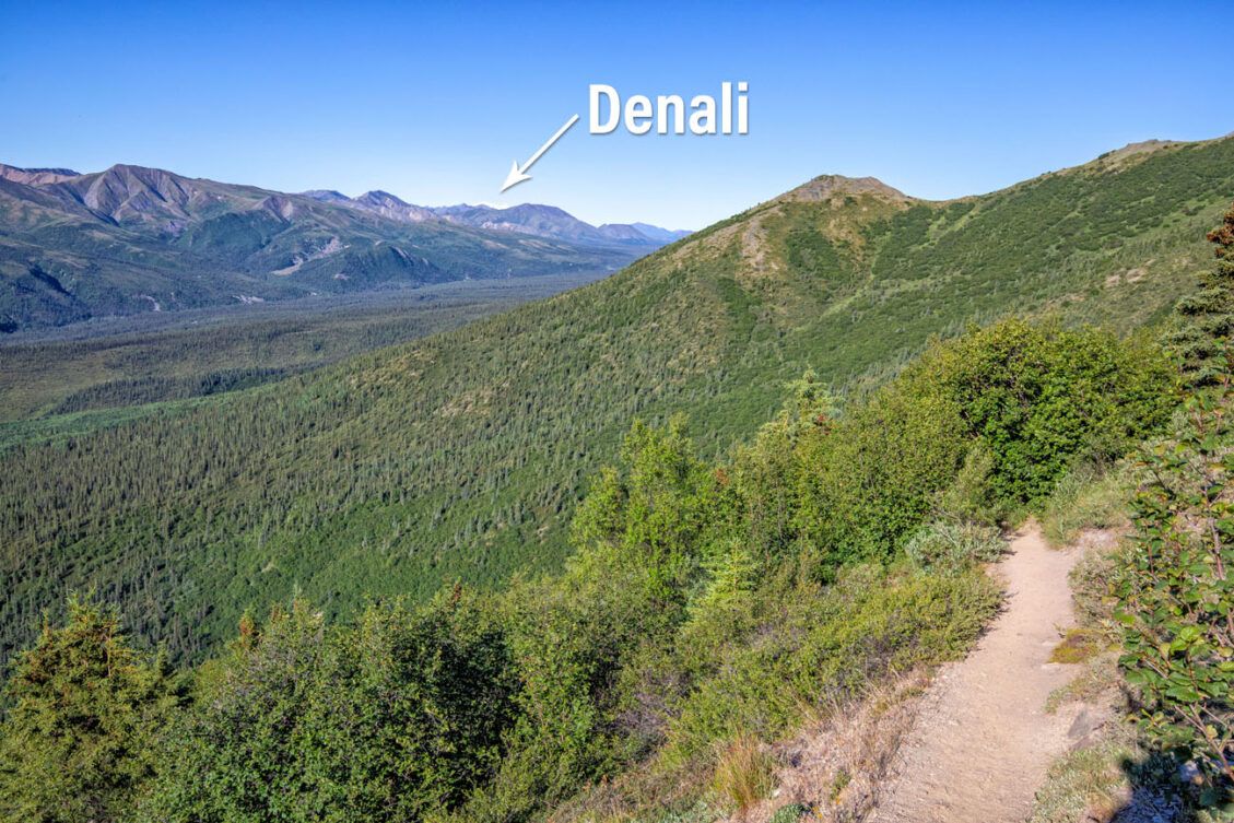 How to Hike the Mount Healy Overlook Trail | Denali National Park ...