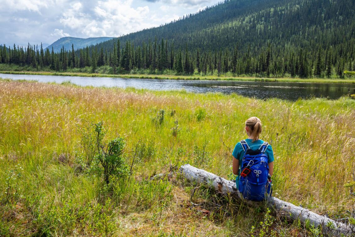 How to Hike the Triple Lakes Trail in Denali National Park – United ...