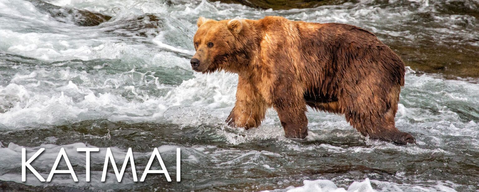 Katmai – Earth Trekkers