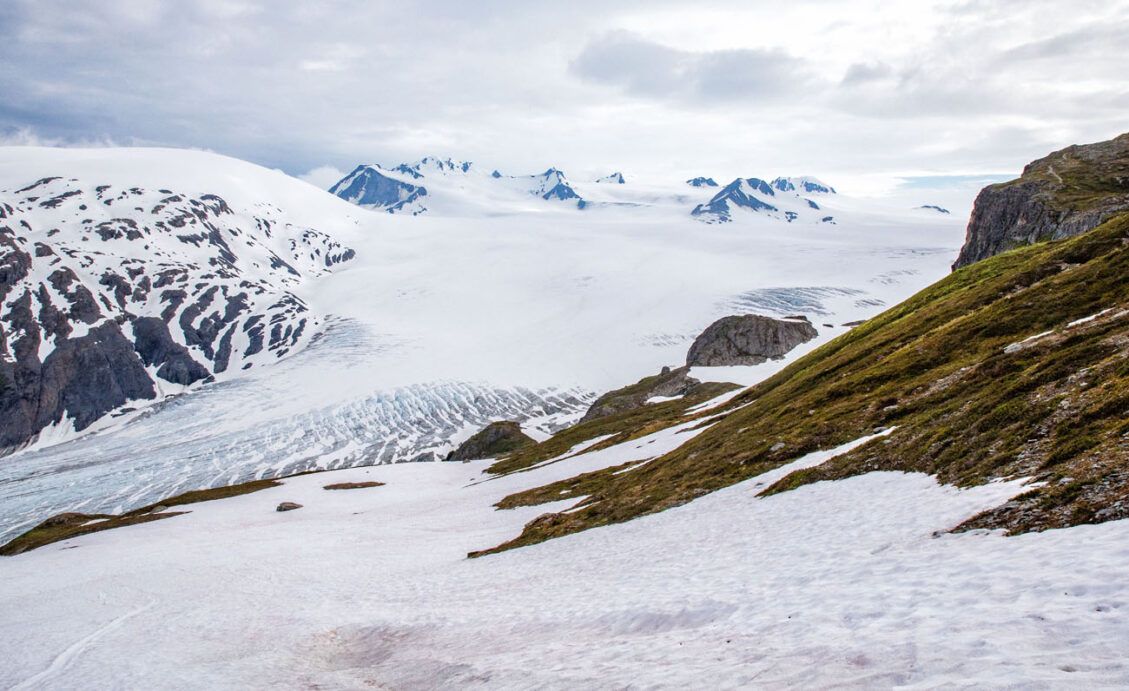 Harding Icefield Trail: The Ultimate Hiking Guide – Earth Trekkers