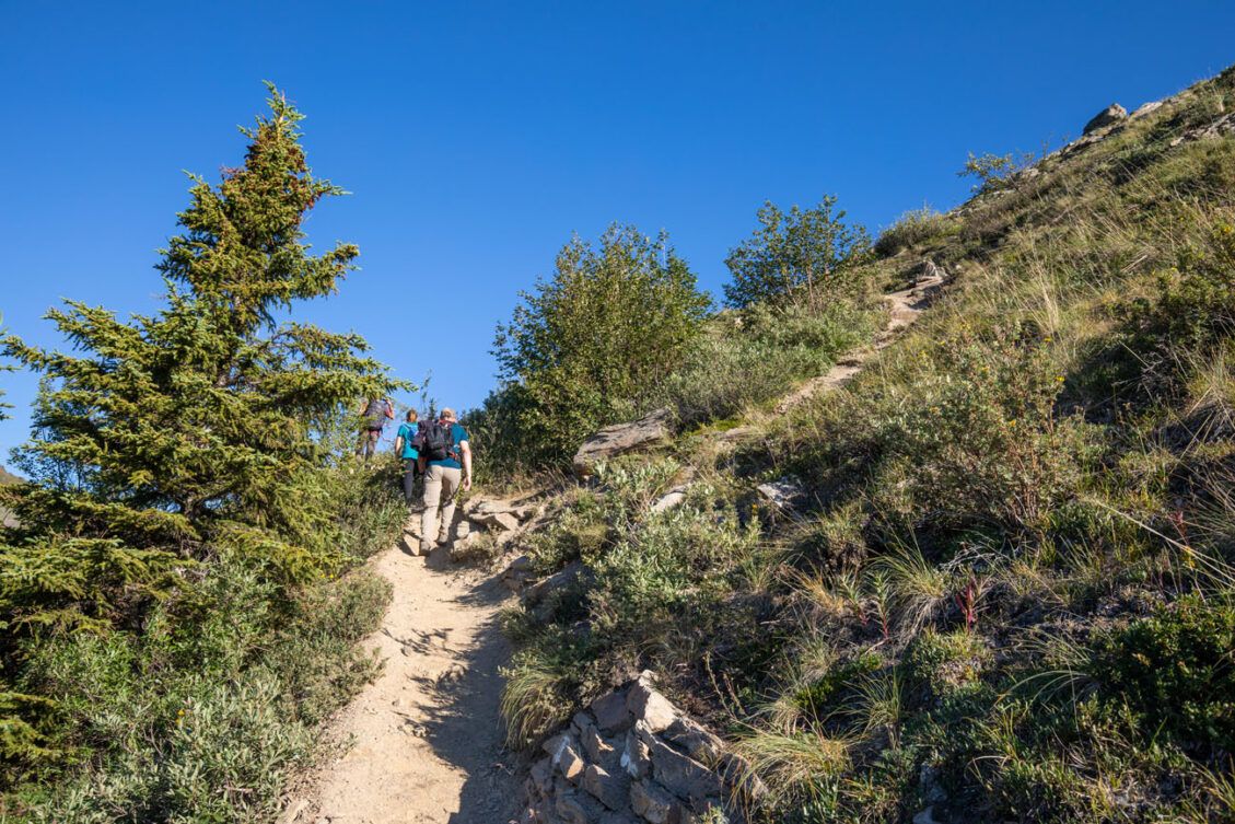 How to Hike the Mount Healy Overlook Trail | Denali National Park ...