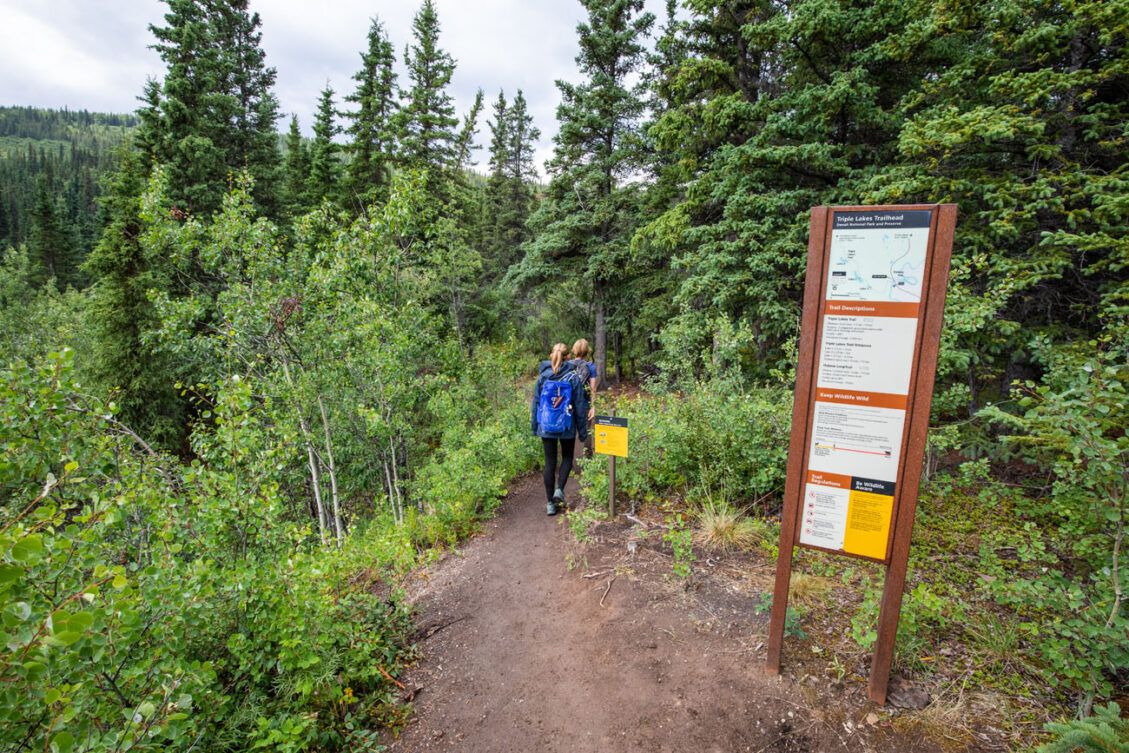 How to Hike the Triple Lakes Trail in Denali National Park – United ...
