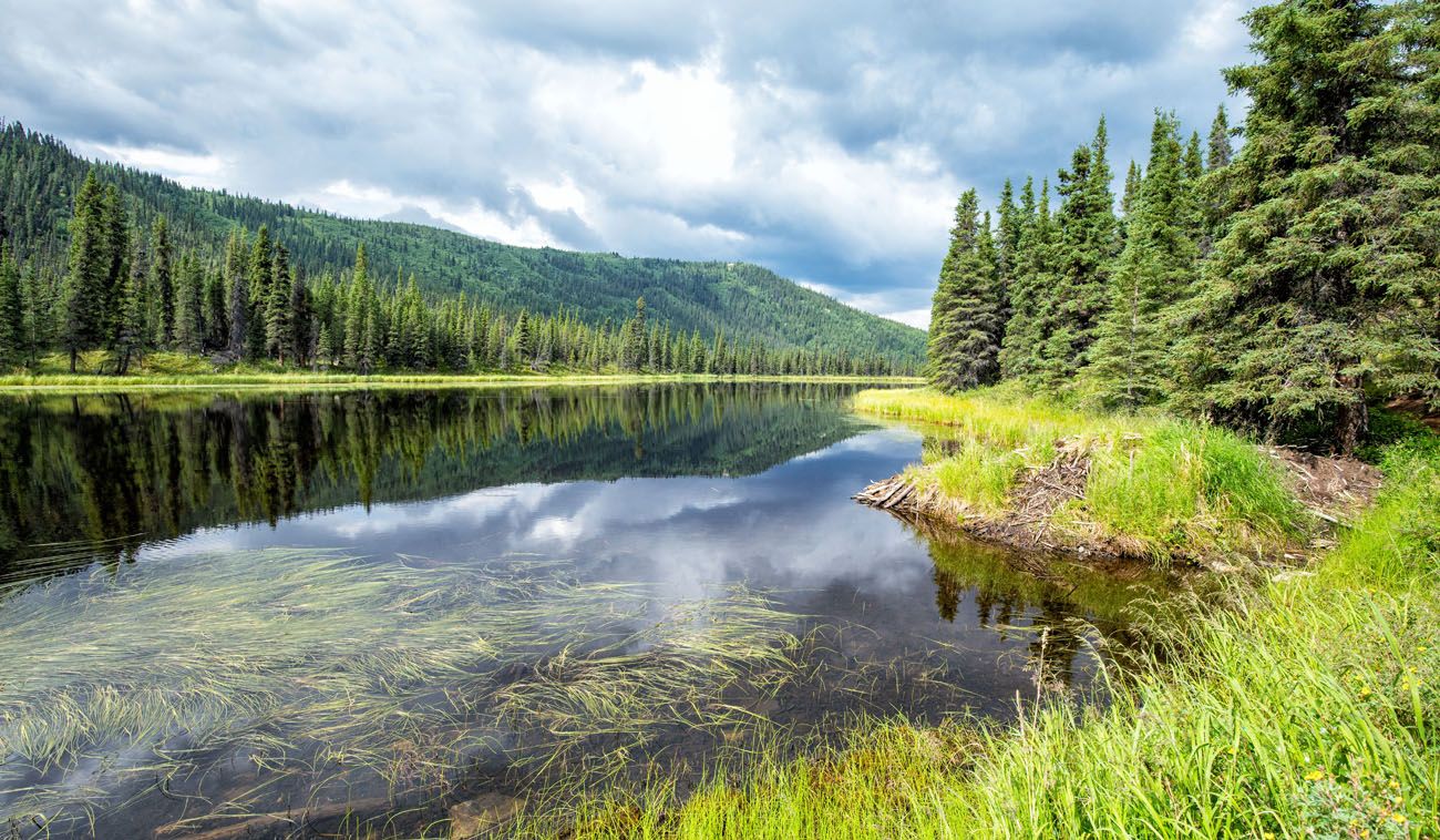 How to Hike the Triple Lakes Trail in Denali National Park – United ...