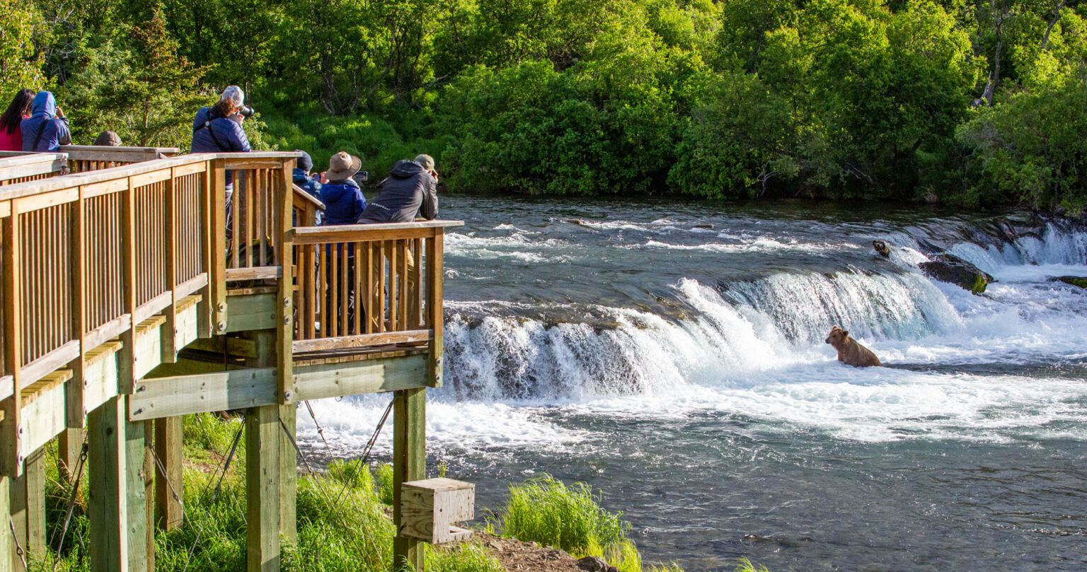 brooks falls Archives – Earth Trekkers