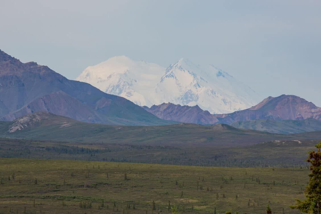 Denali Park Road Travel Guide: Things to Do, Map, Photos, Itineraries ...