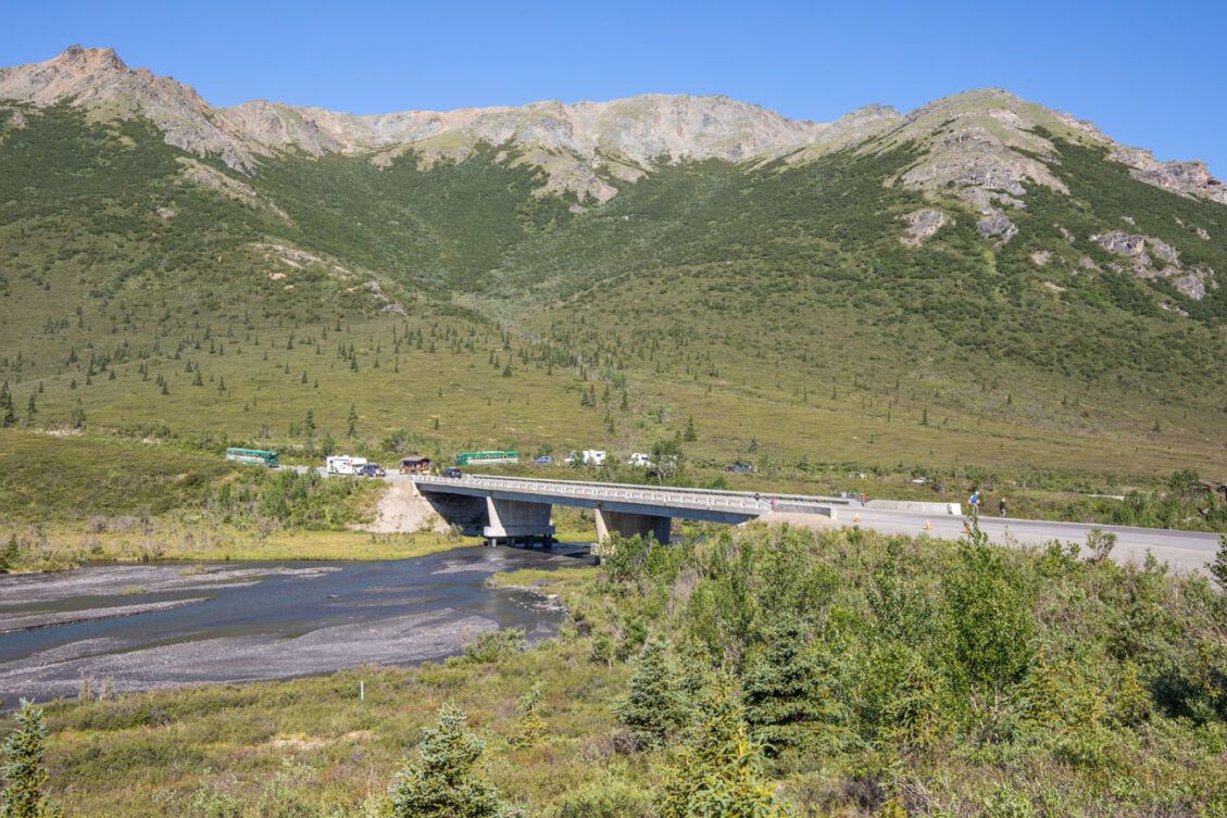 Denali Park Road Travel Guide: Things to Do, Map, Photos, Itineraries ...
