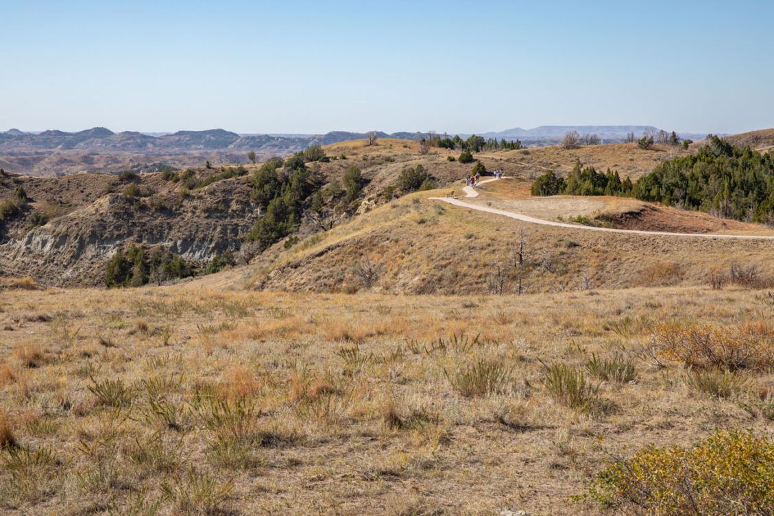 Complete Guide to the South Unit of Theodore Roosevelt National Park ...