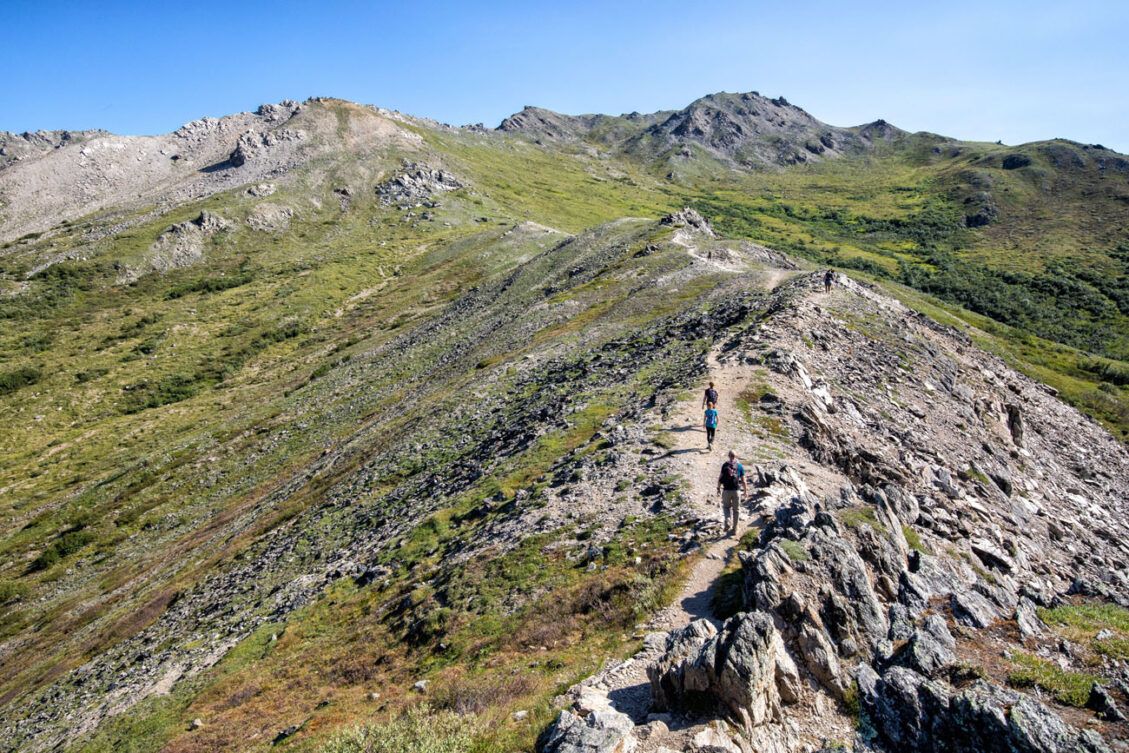 How to Hike the Savage Alpine Trail in Denali National Park – Earth ...