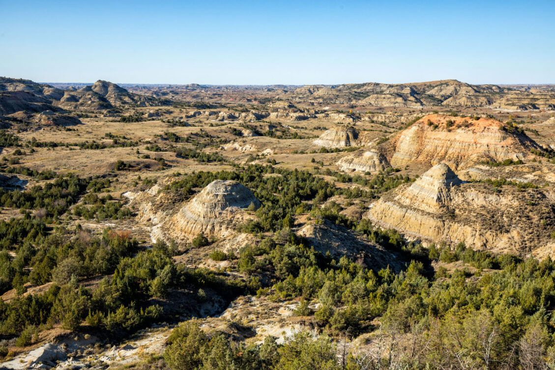 Complete Guide to the South Unit of Theodore Roosevelt National Park ...