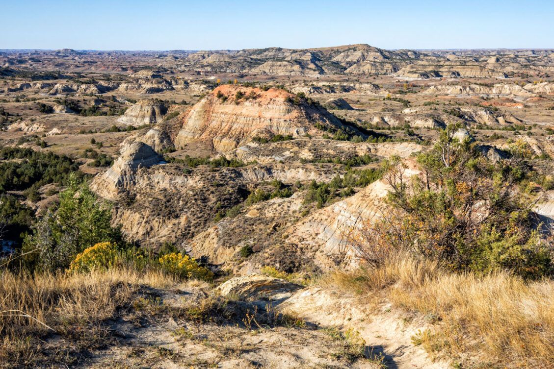 Complete Guide to the South Unit of Theodore Roosevelt National Park ...