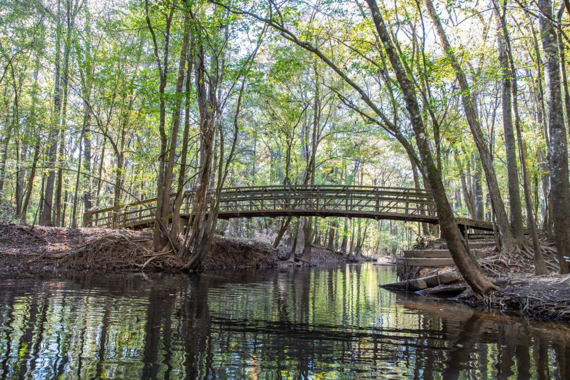Top 10 Things to Do in Congaree National Park – Earth Trekkers