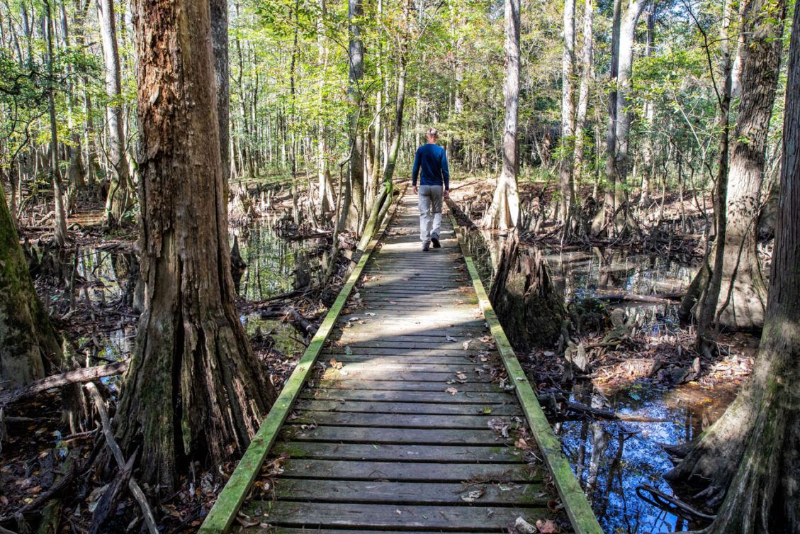 Top 10 Things to Do in Congaree National Park – Earth Trekkers