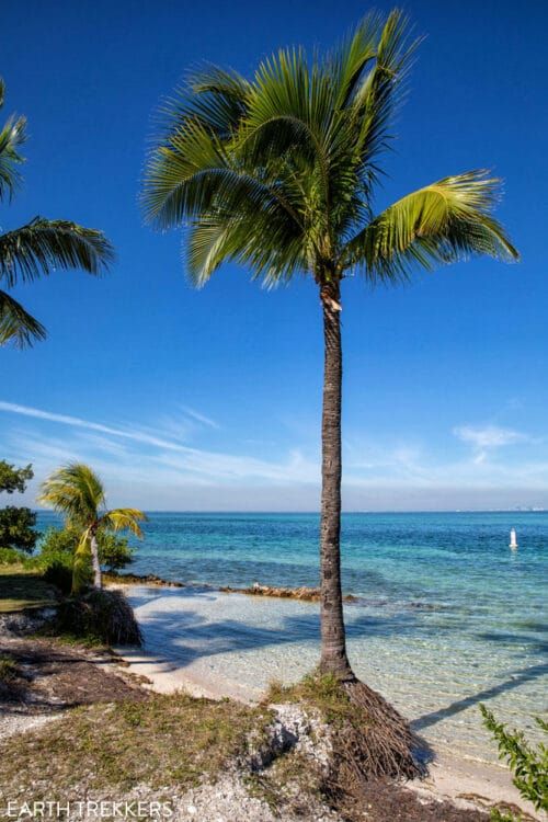 10 Best Things to Do in Biscayne National Park – Earth Trekkers