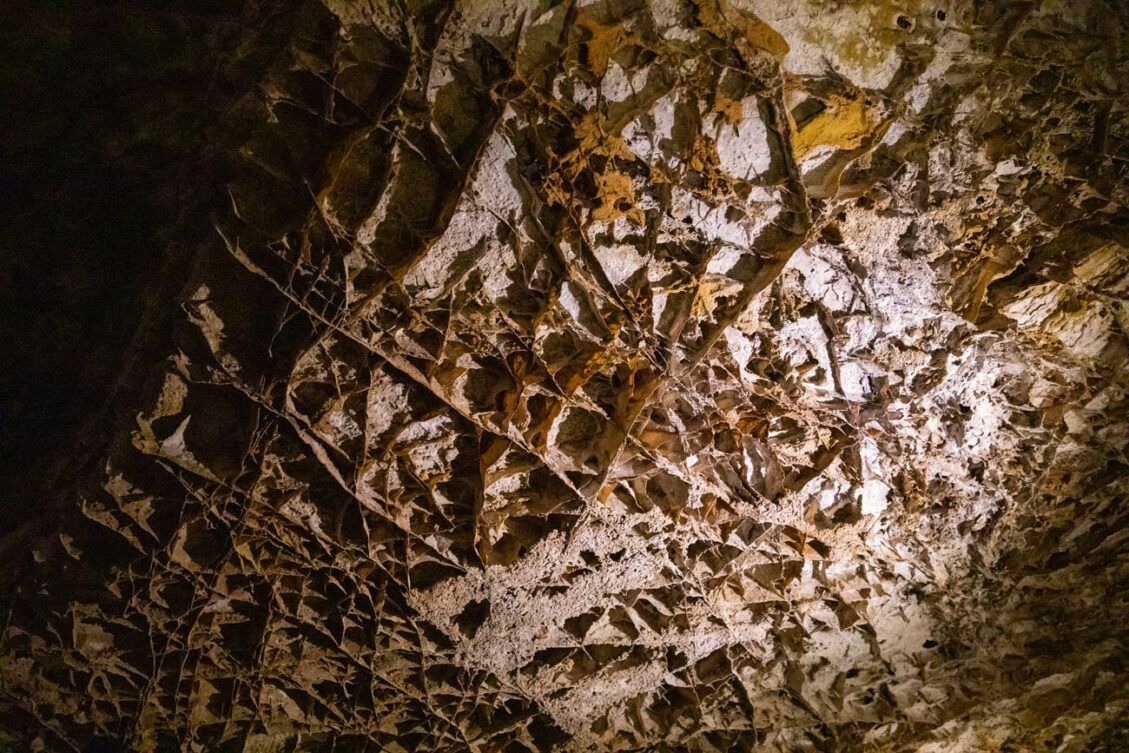 6 Great Things to Do in Wind Cave National Park – Earth Trekkers