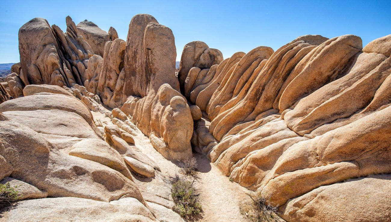 14 Epic Hikes in Joshua Tree National Park (+ Maps & Photos) – Earth ...