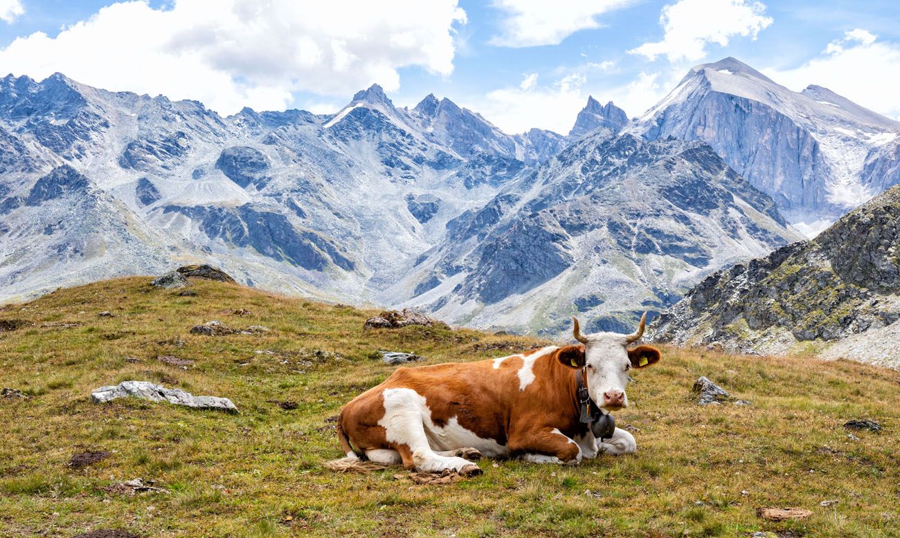 Walker's Haute Route Stage 11: Zinal to Forcletta to Gruben – Earth ...