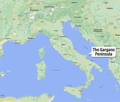 11 Amazing Things to Do in the Gargano, Italy – Earth Trekkers