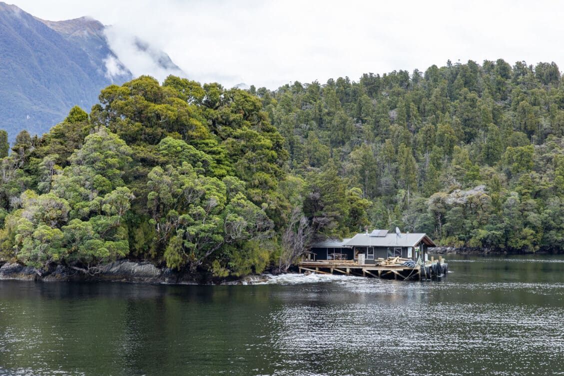 Doubtful Sound Day Trip: What to Expect, Photos & Map – Earth Trekkers