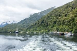 Doubtful Sound Day Trip: What to Expect, Photos & Map – Earth Trekkers