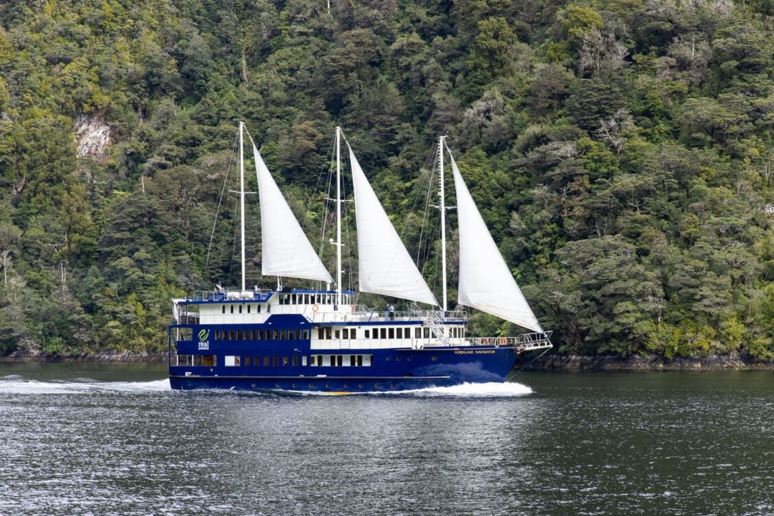 Doubtful Sound Day Trip: What to Expect, Photos & Map – Earth Trekkers