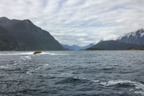 Doubtful Sound Day Trip: What to Expect, Photos & Map – Earth Trekkers
